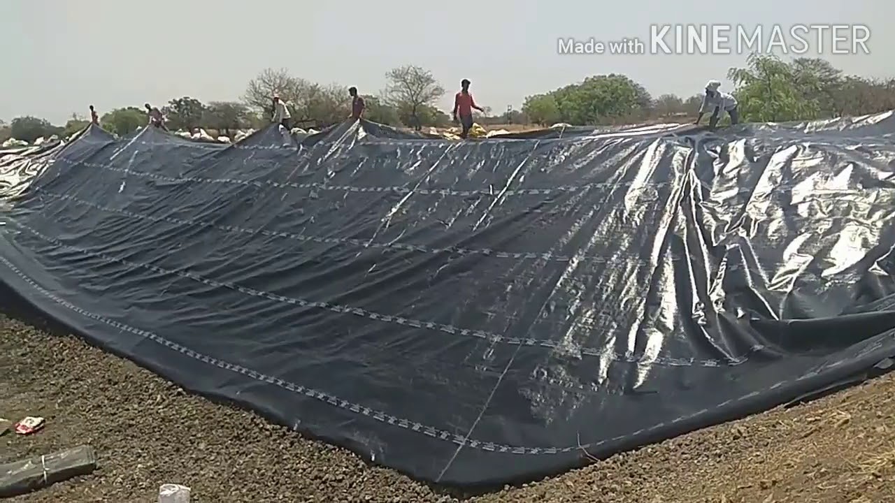 Latest update of Farm Pond (Shet tale) of Ira Goat Farm - YouTube
