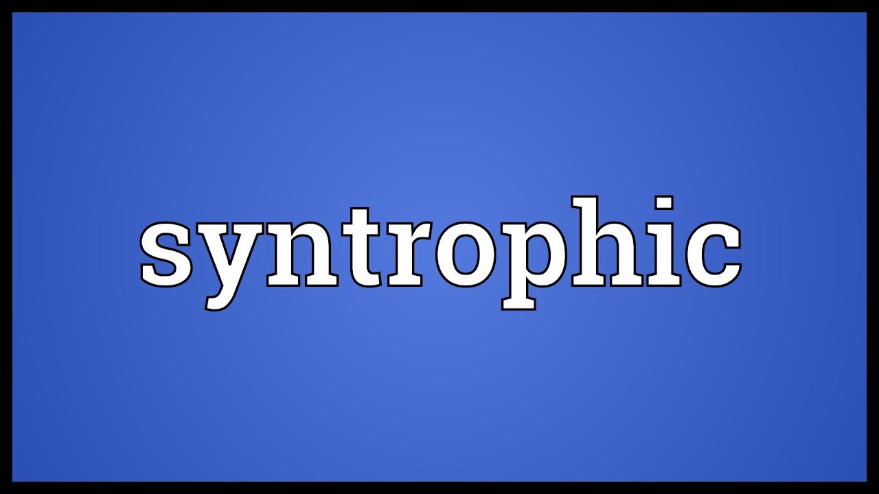 Syntrophic Meaning - YouTube