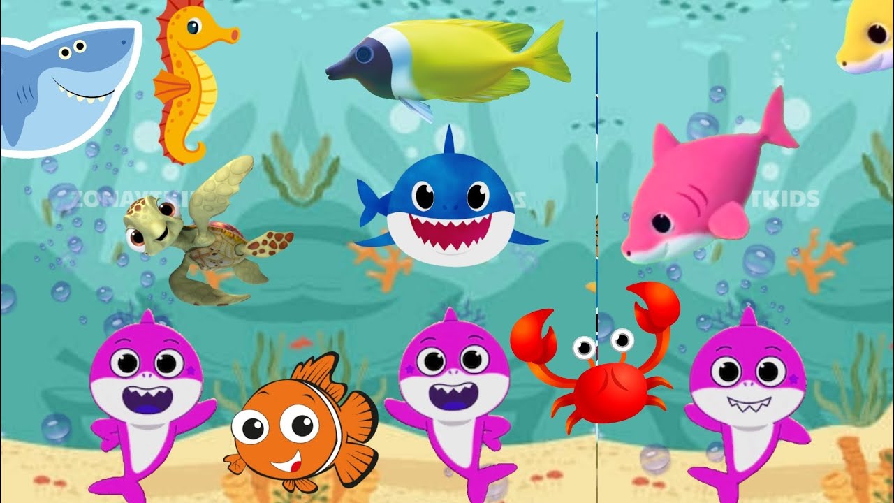 Run Away Baby Shark Hunting, Under seaworld, Nursery rhymes, Baby Shark ...