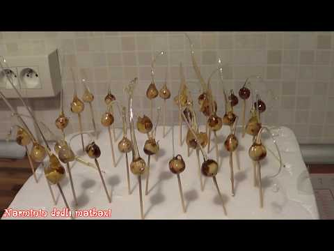 tort üçün decor.tortun bezedilmesi