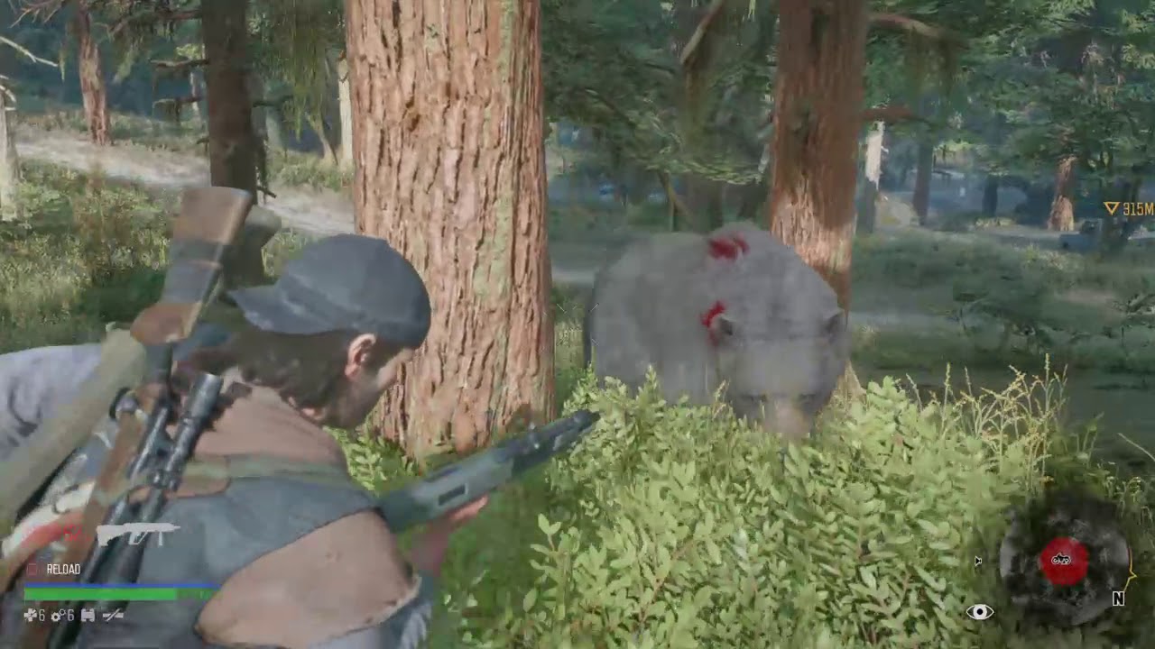 DAYS GONE Random Bear Encounter - YouTube