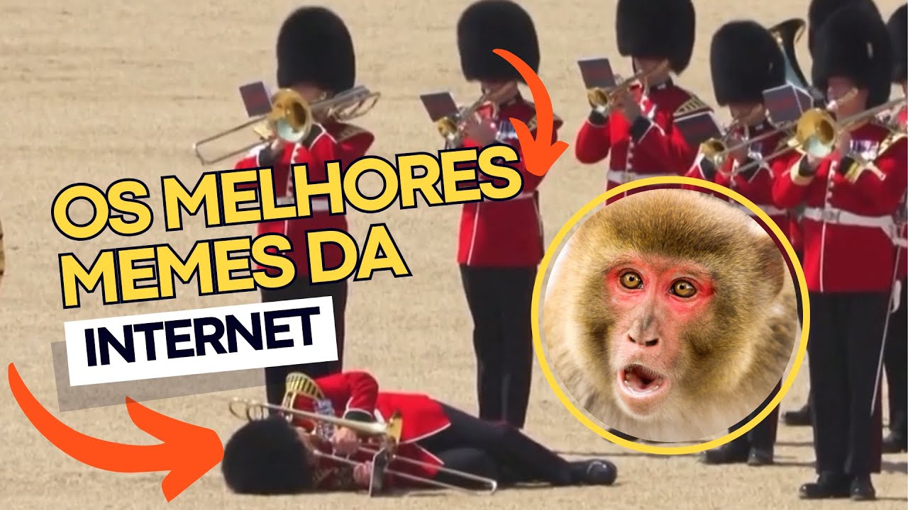 Os melhores memes da internet #memes - YouTube