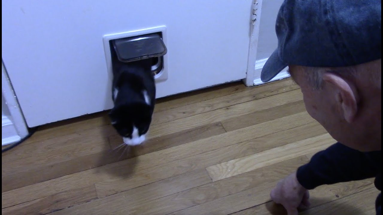 How To Install A Cat Door - YouTube