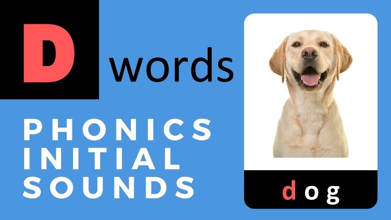 d words | Phonics Initial d- Sounds with Highlights - YouTube