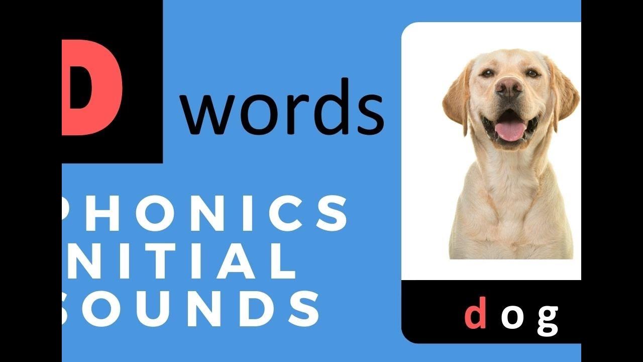 d words | Phonics Initial d- Sounds with Highlights - YouTube