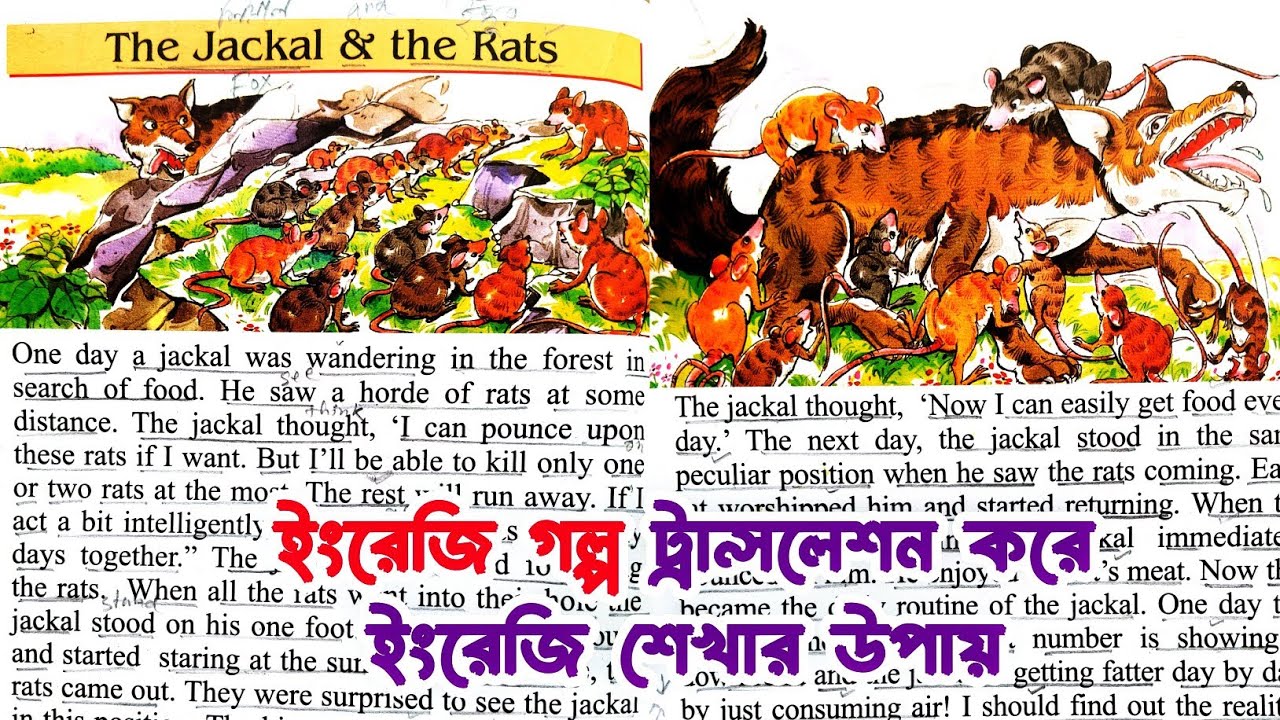 The Jackal & the Rats | English story reading with bengali translation ...