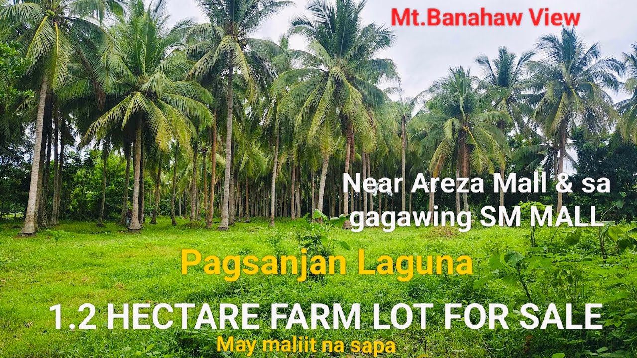 #Vlog337 FARM LOT FOR SALE in PAGSANJAN LAGUNA NEAR SA AREZA MALL AT SA ...