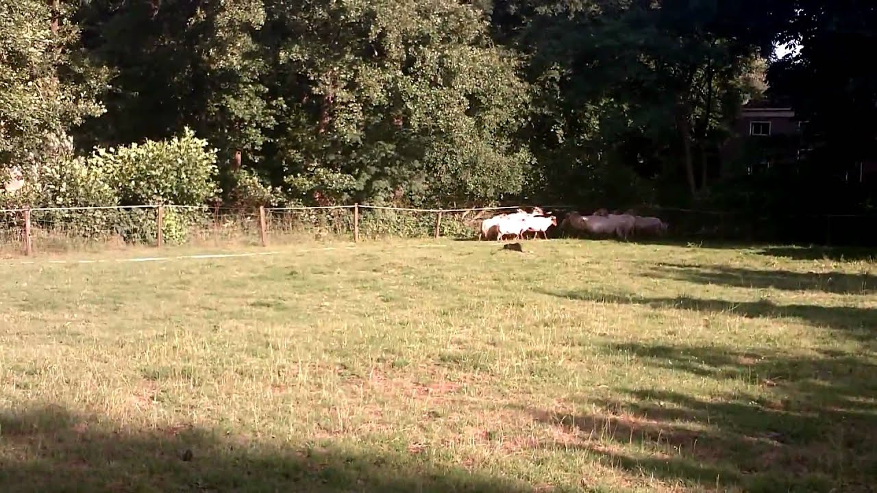 Sil The Movie - YouTube