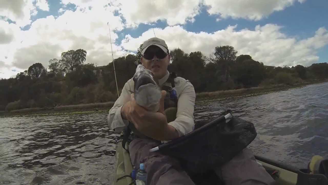 Snug Fishing Tasmania at Donna Bull blog