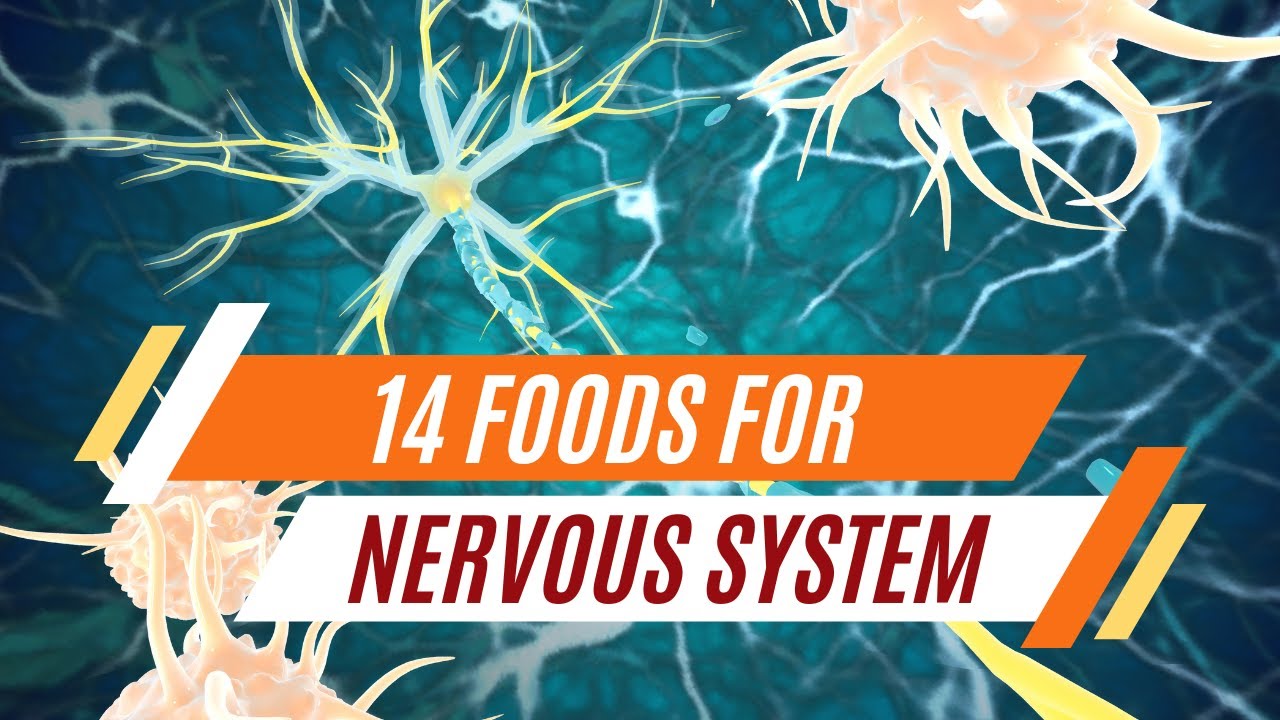14 Foods for Nervous System Health - YouTube