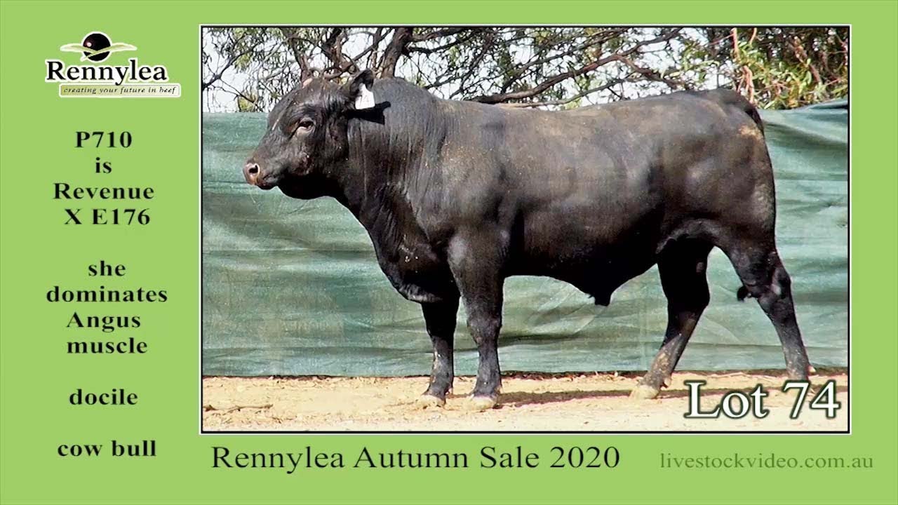 Lot 74 Rennylea 2020 - YouTube