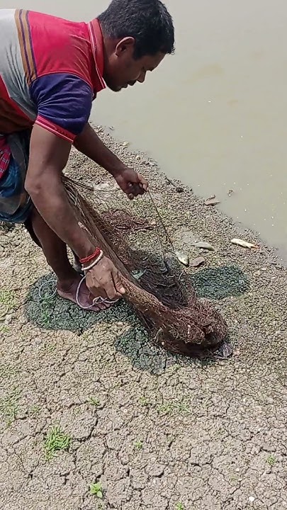 Really amazing plastic pipe fishing trap I Amazing Eel Fish Catch By Hand in Pond #fishing #fish ...