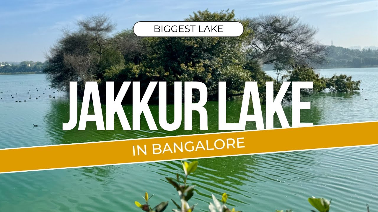 Exploring the Serene Beauty of Jakkur Lake, Bangalore | One of the ...