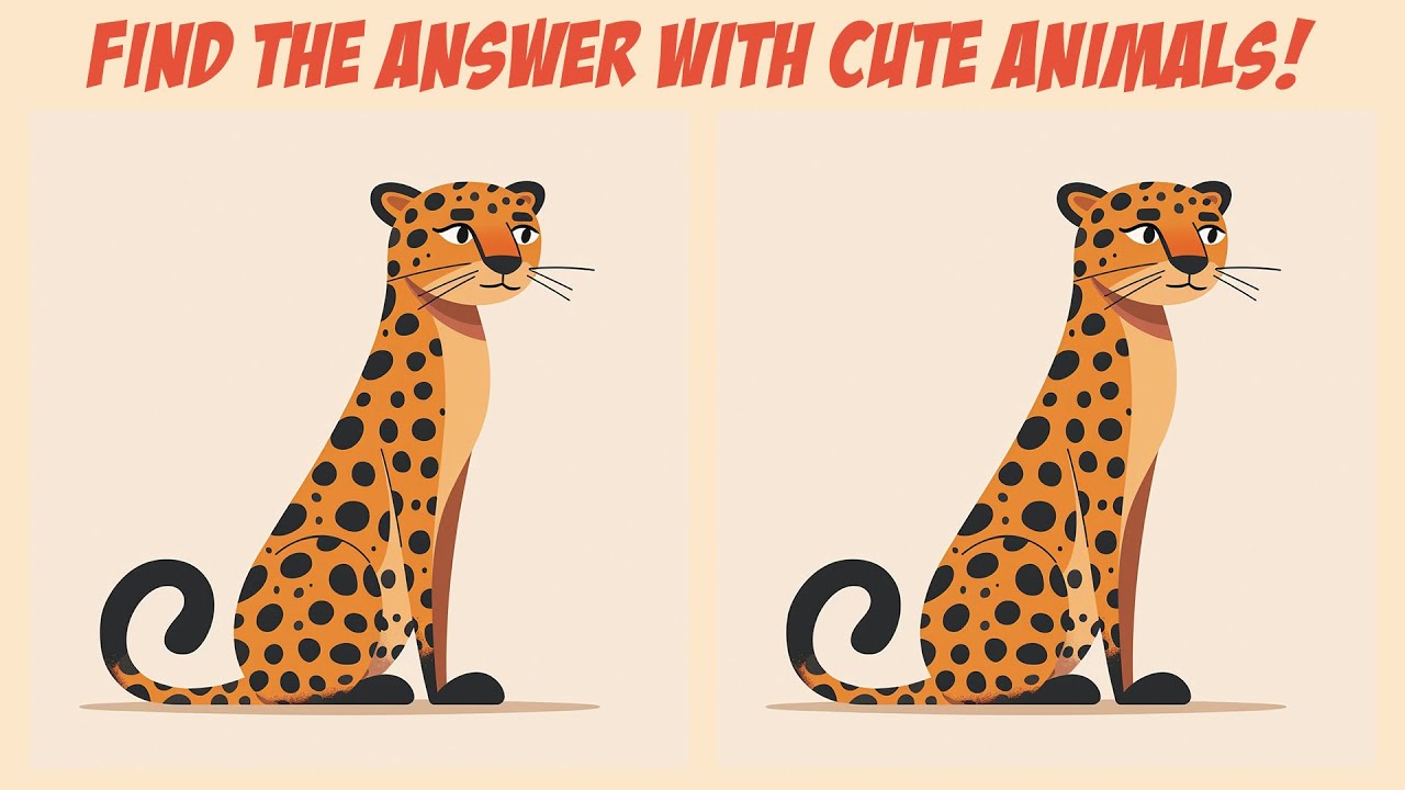 [Spot The Difference] Let's find the answer with cute animals! - YouTube