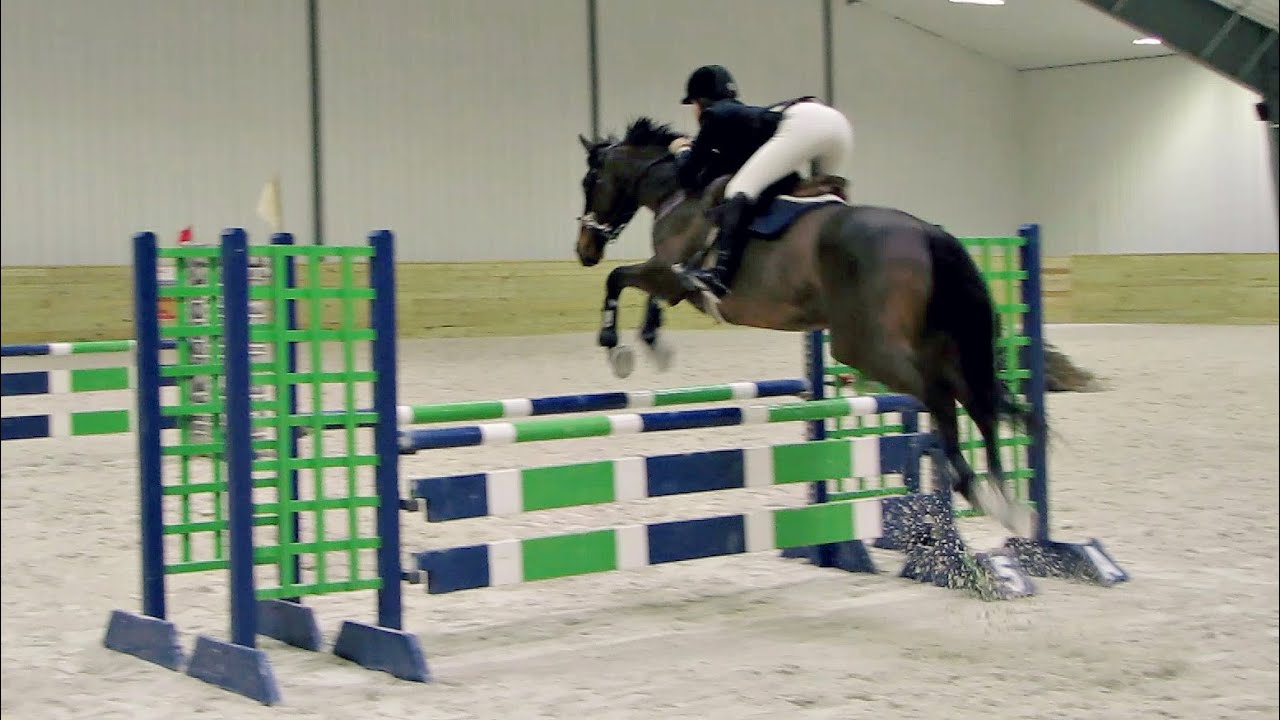 NAL Adult Jumper Classic - Roberts Arena - YouTube