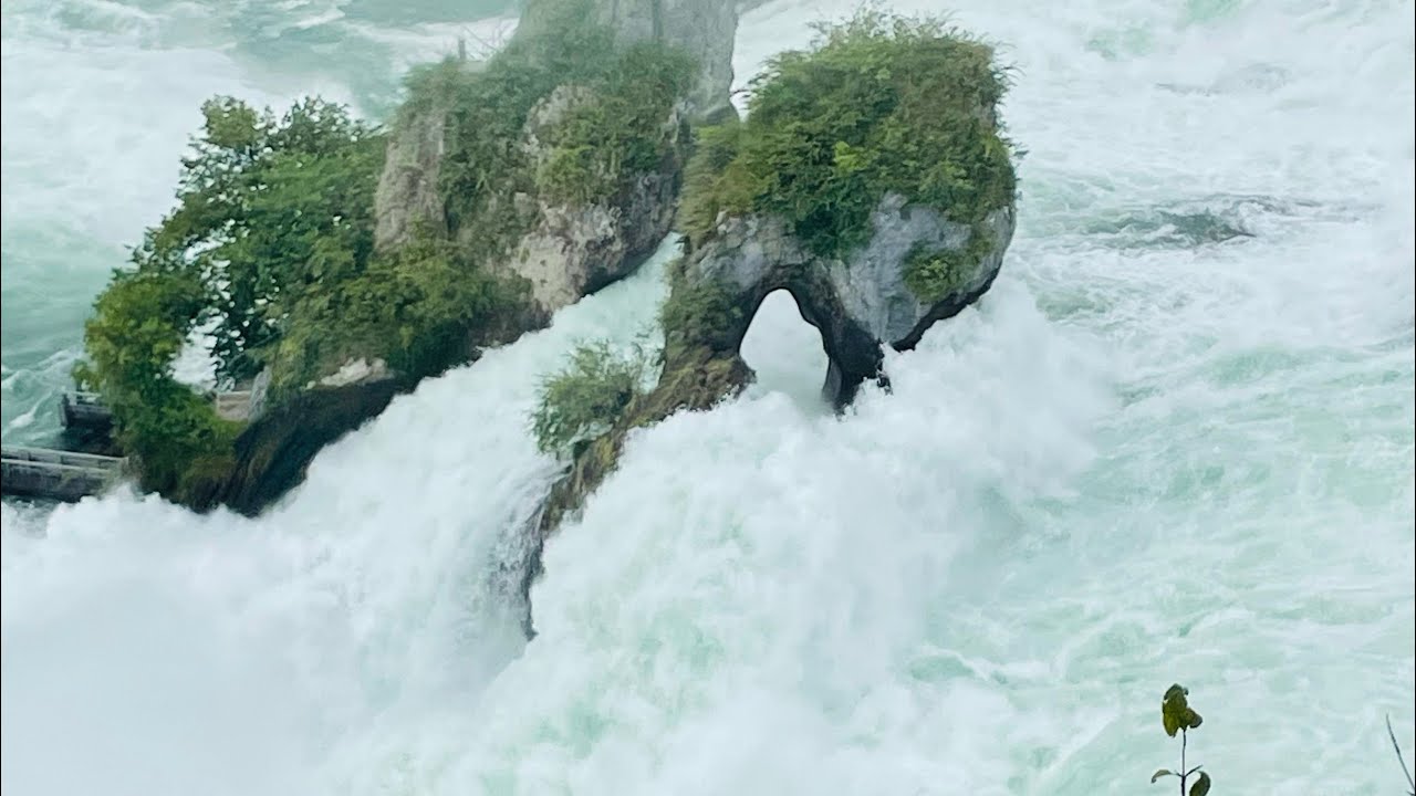 🔴Live Rhine Falls - The rock observation deck @Schaffhausen Europe's ...