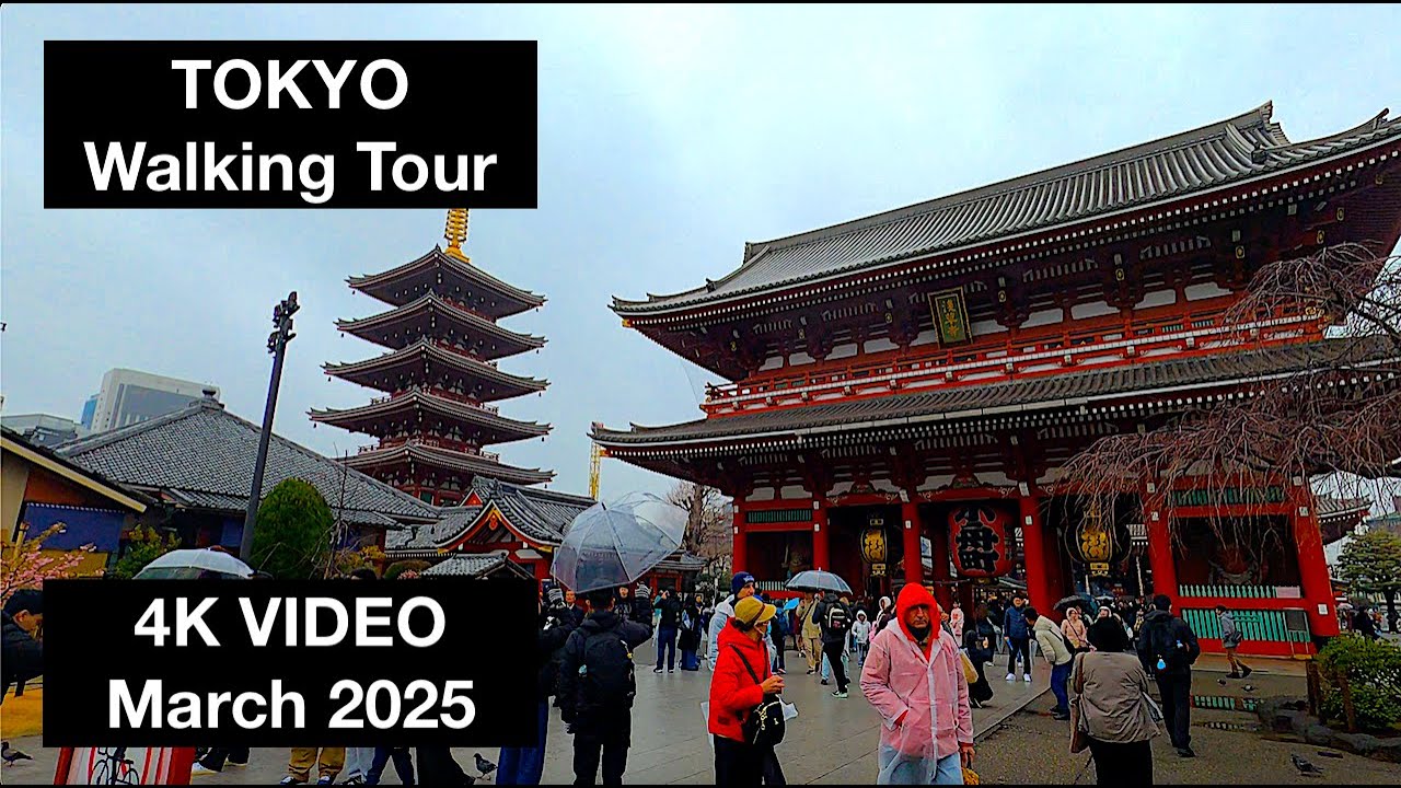 Tokyo Walking Tour (Around Asakusa) - March 2025 - 4K VIDEO - YouTube