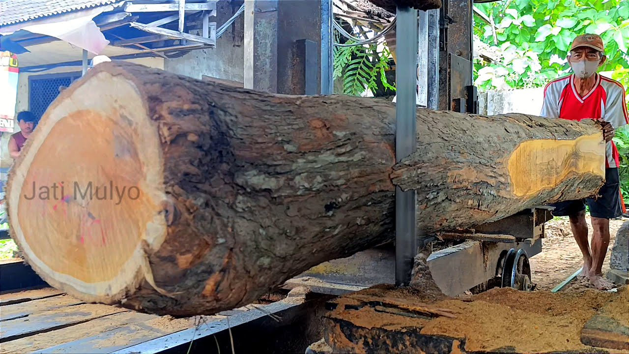 The old man's genius technique of sawing and making blocks from teak ...