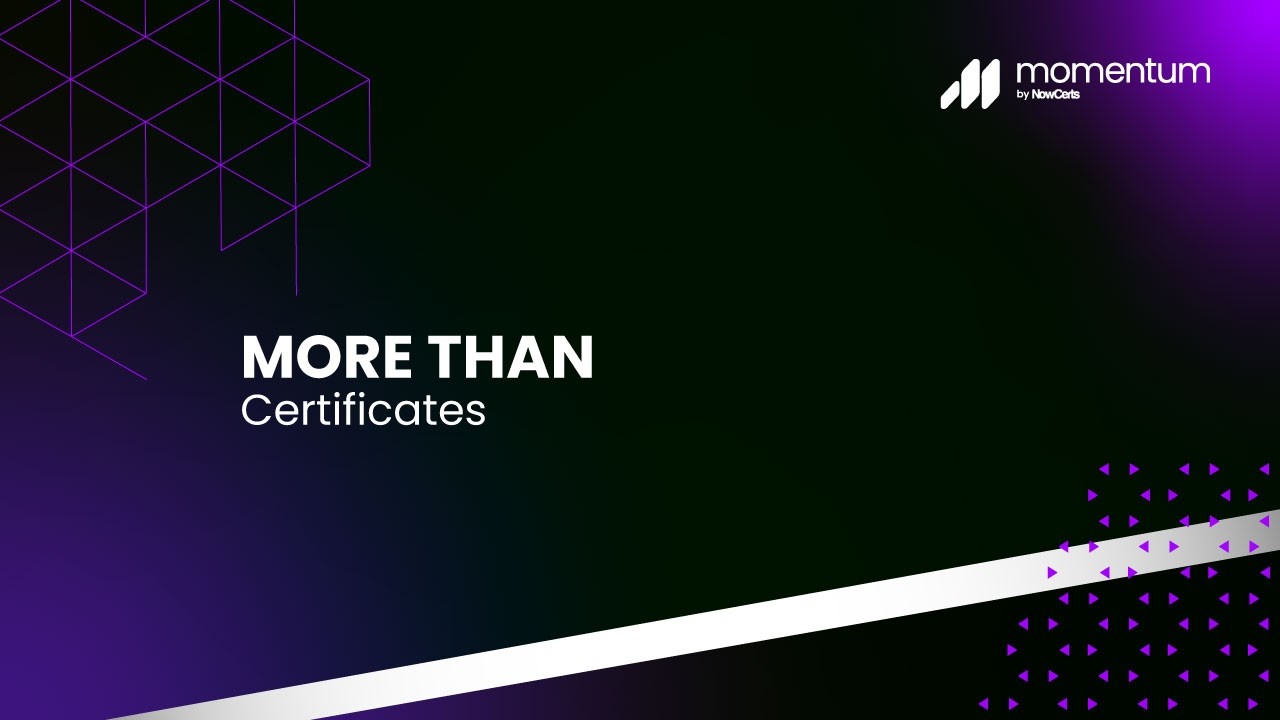 Introducing Momentum AMP, the Insurance Agency Platform - YouTube