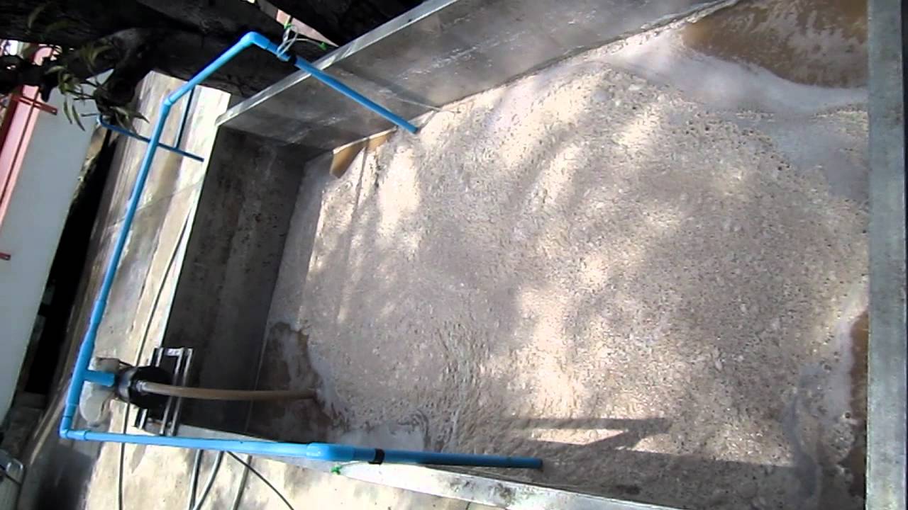 Microbubble Aeration (Dairy waste water) 2 - YouTube
