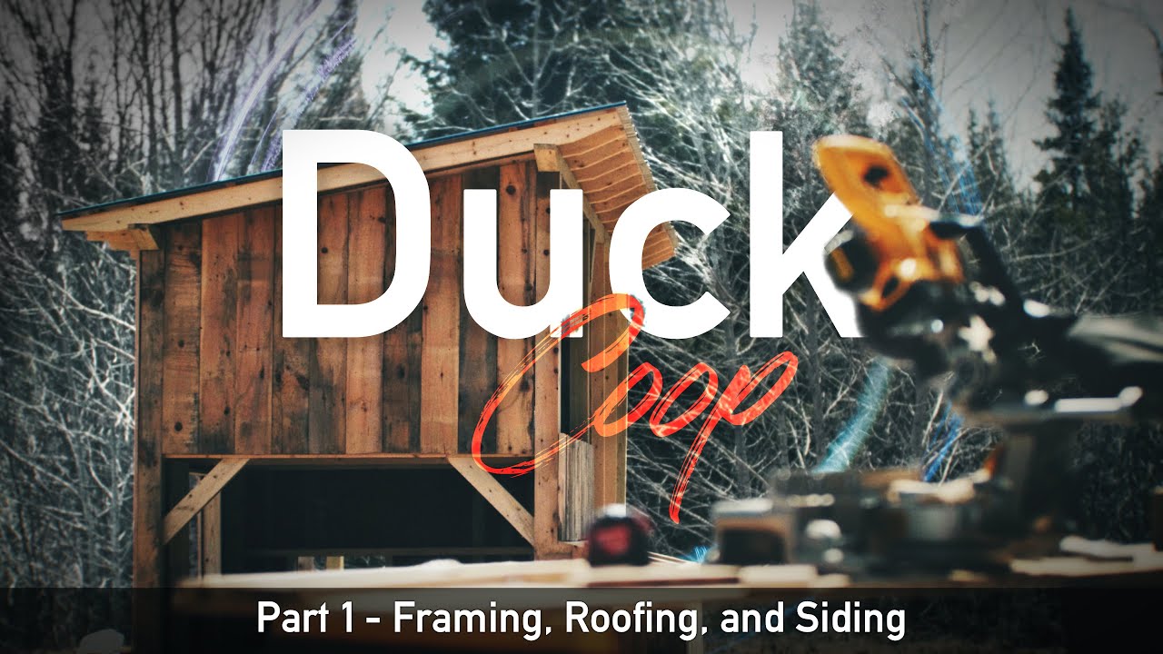 Building a Home for Our Ducks: DIY Duck Coop - Part One - YouTube