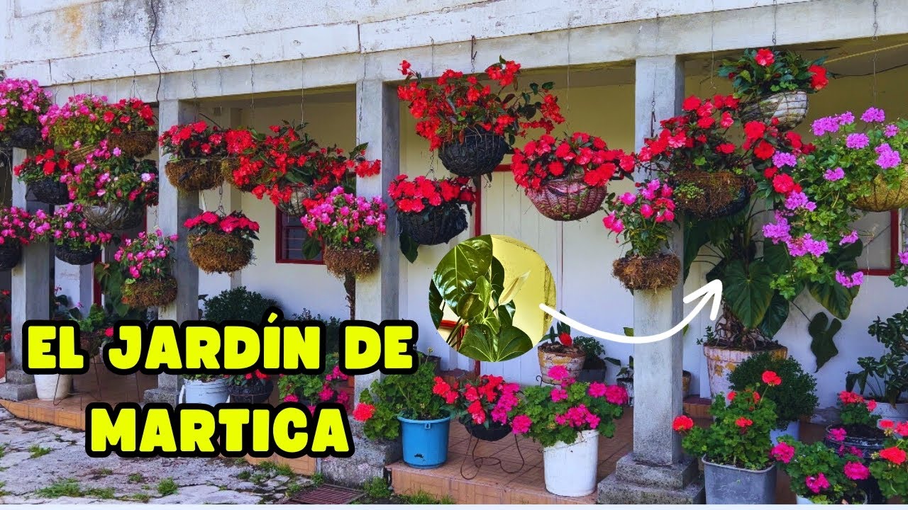 Una casa sin JARDÍN no tiene VIDA: Martica nos aconseja lo lindo de ...