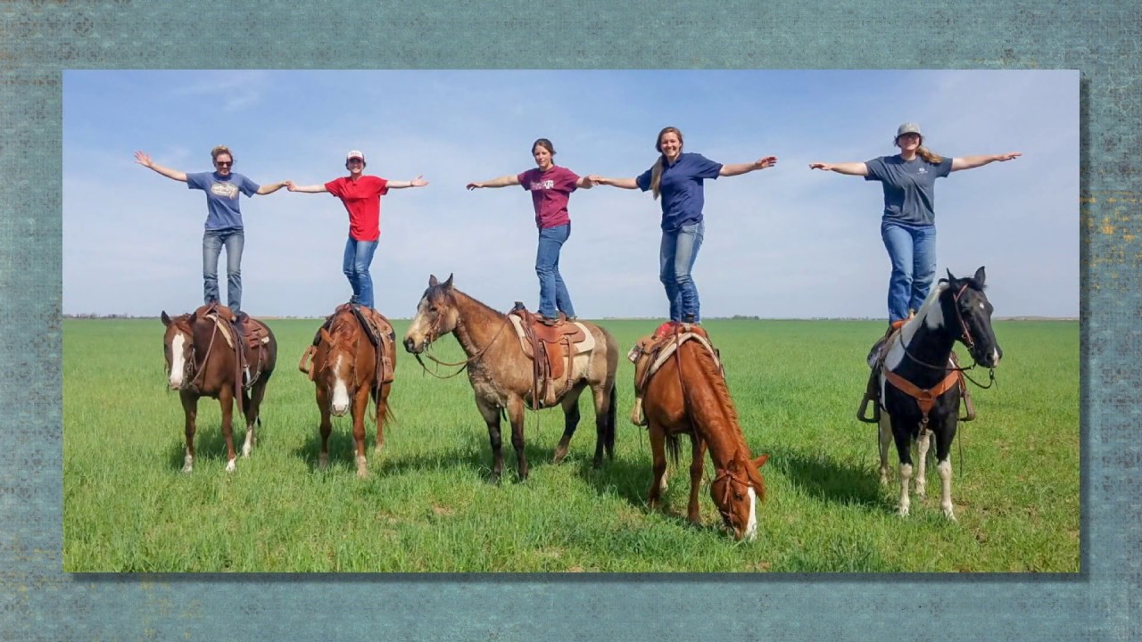 GAR 2019 Spring Ranch and Sale Highlights - YouTube