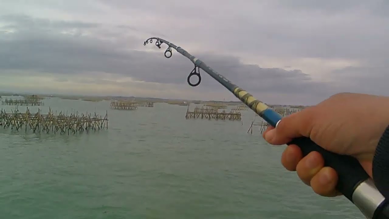 Solo fishing di Bagan Tanjungkait - YouTube