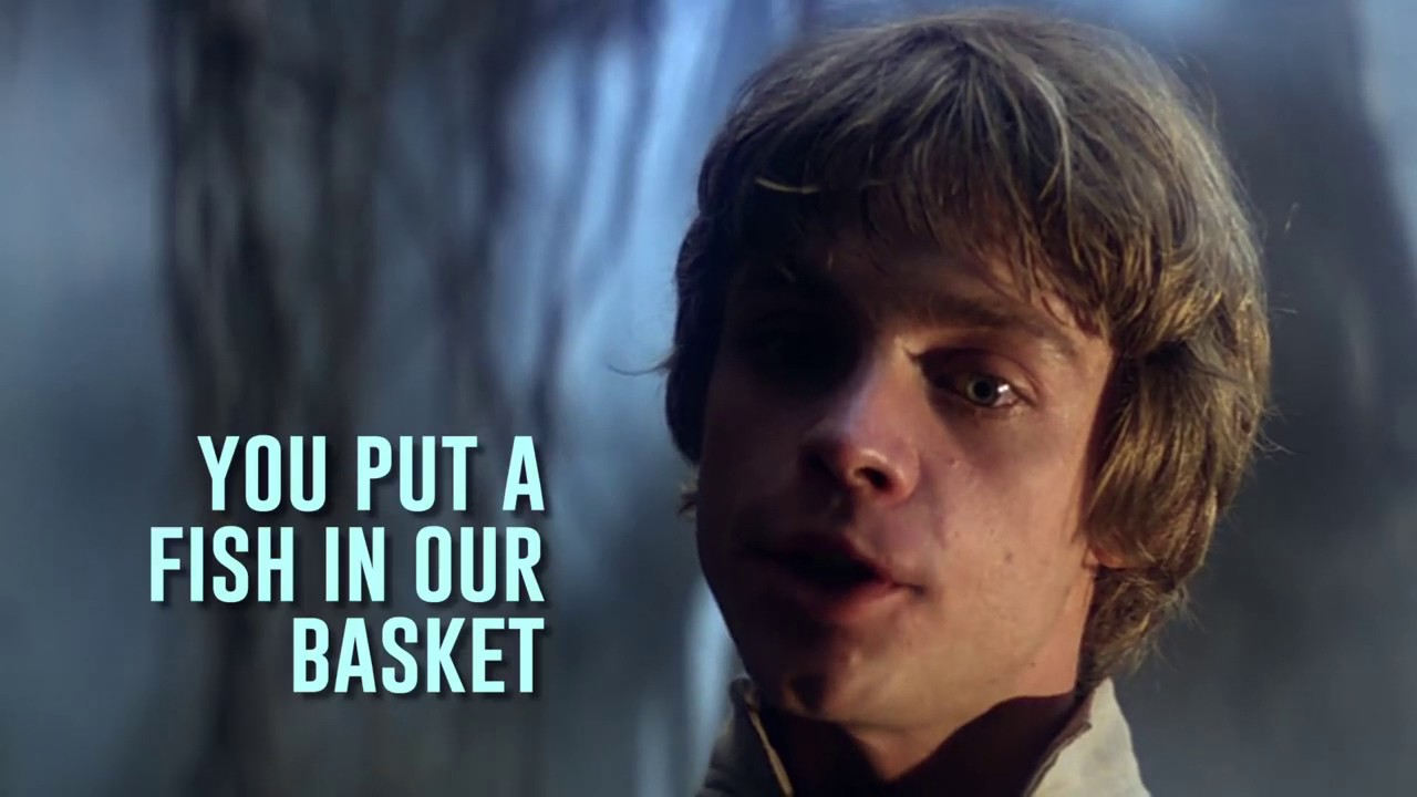 SEAGULLS by Yoda! (Bad Lip Reading) - YouTube