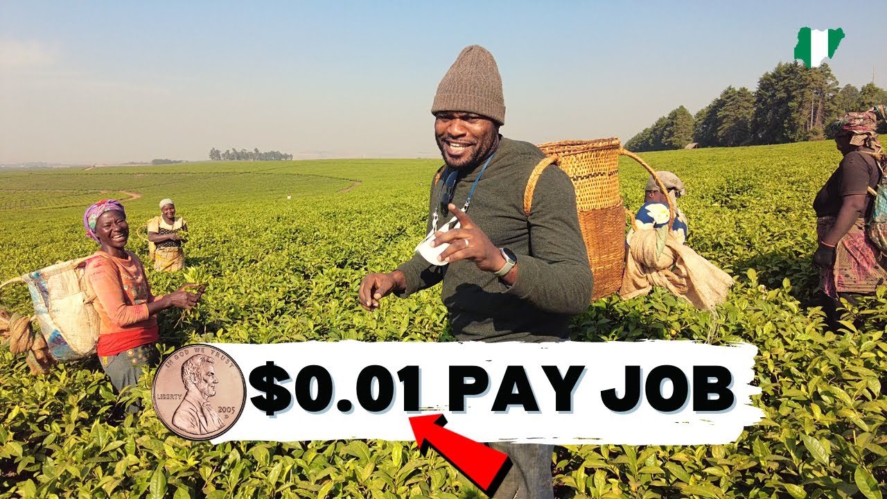 I Got Paid 1 Cent to Work in AFRICA BIGGEST Tea Farm in Nigeria - YouTube