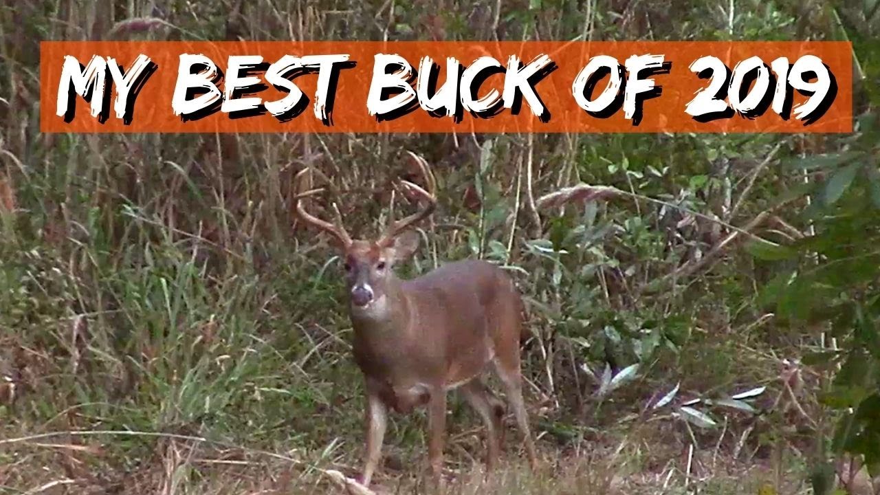 Big South Georgia Buck! - YouTube