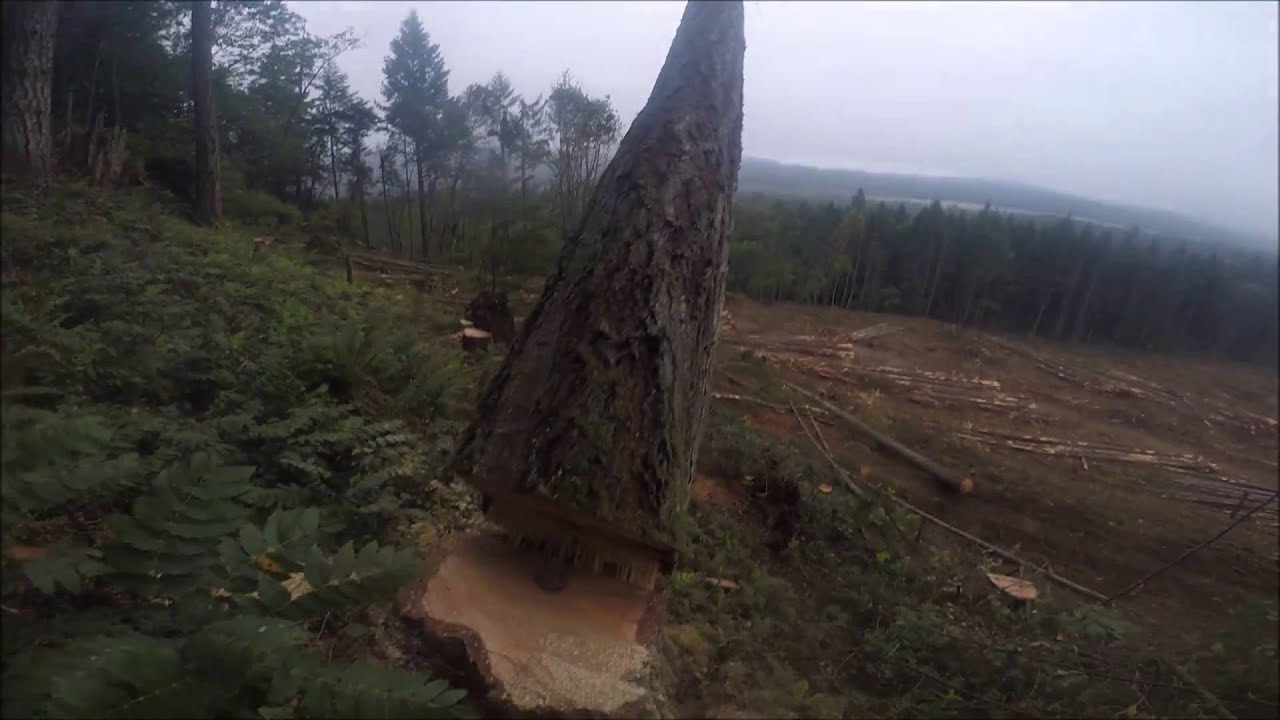 FALLING, STEEP GROUND , PART 1 - YouTube