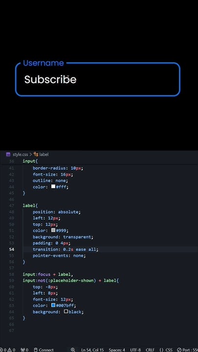 Floating Label Input Using Only HTML & CSS 💻 | No JavaScript! #coding #webdesign #htmlcss #input ...