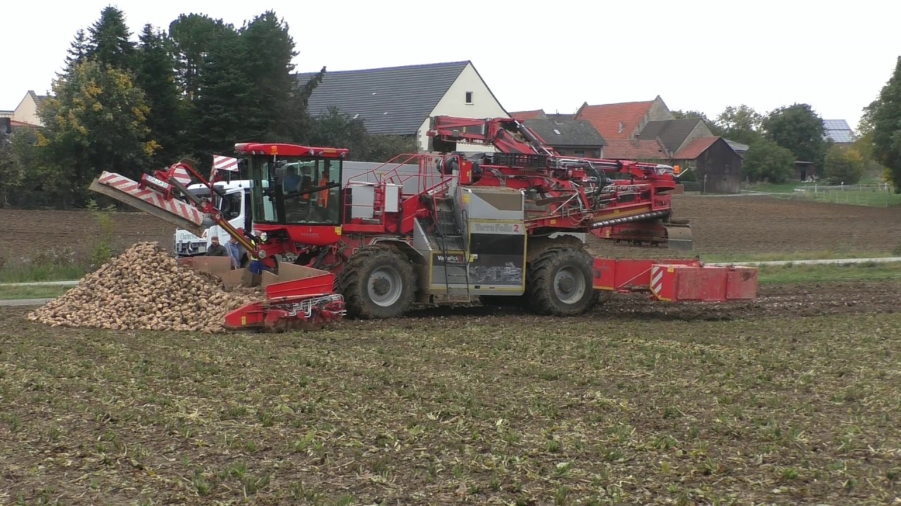 Zuckerrüben Ernten und Verladen 2017 in Niederbayern und in ...
