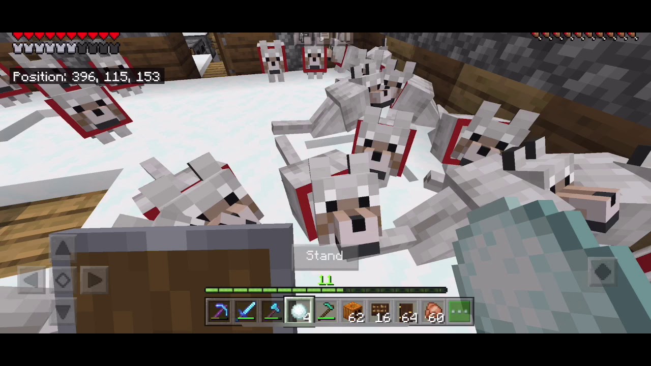 Massive dog rescue: Minecraft part 1 - YouTube