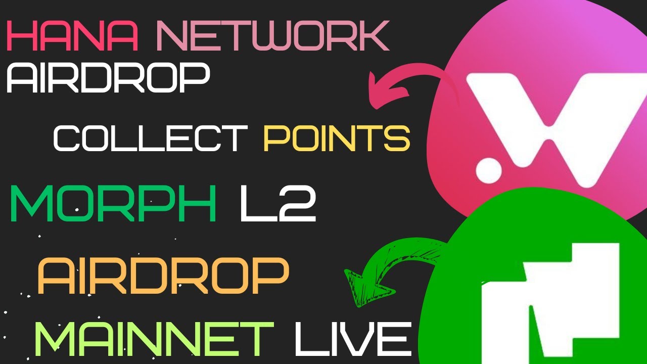 Hana Network Airdrop -- Mainnet Live 🔥|| Morph L2 Airdrop -- Mainnet ...