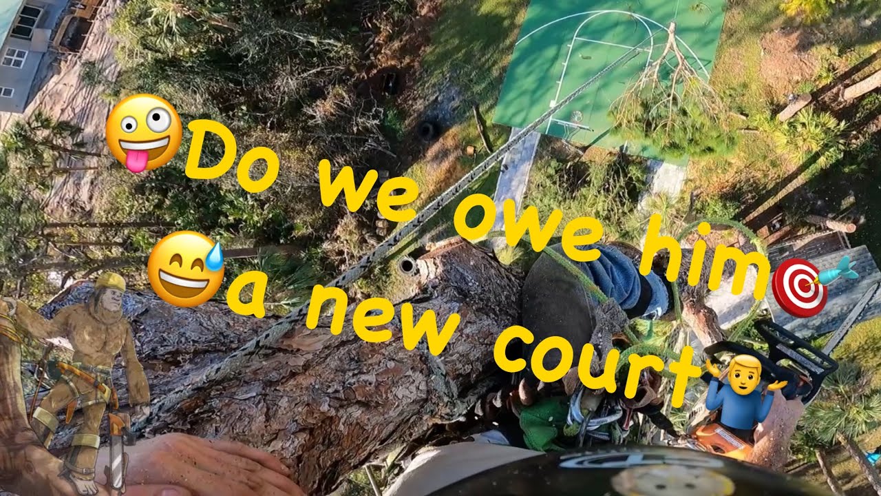 limbwalkers dismantle massive pine tree - YouTube