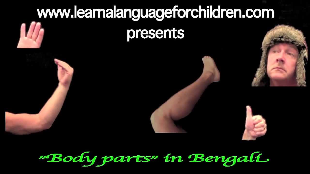 Learn Bengali Body Parts In Bengali With Jingle Jeff Professor learn-bengali-body-parts-in-bengali-with-jingle-jeff-professor