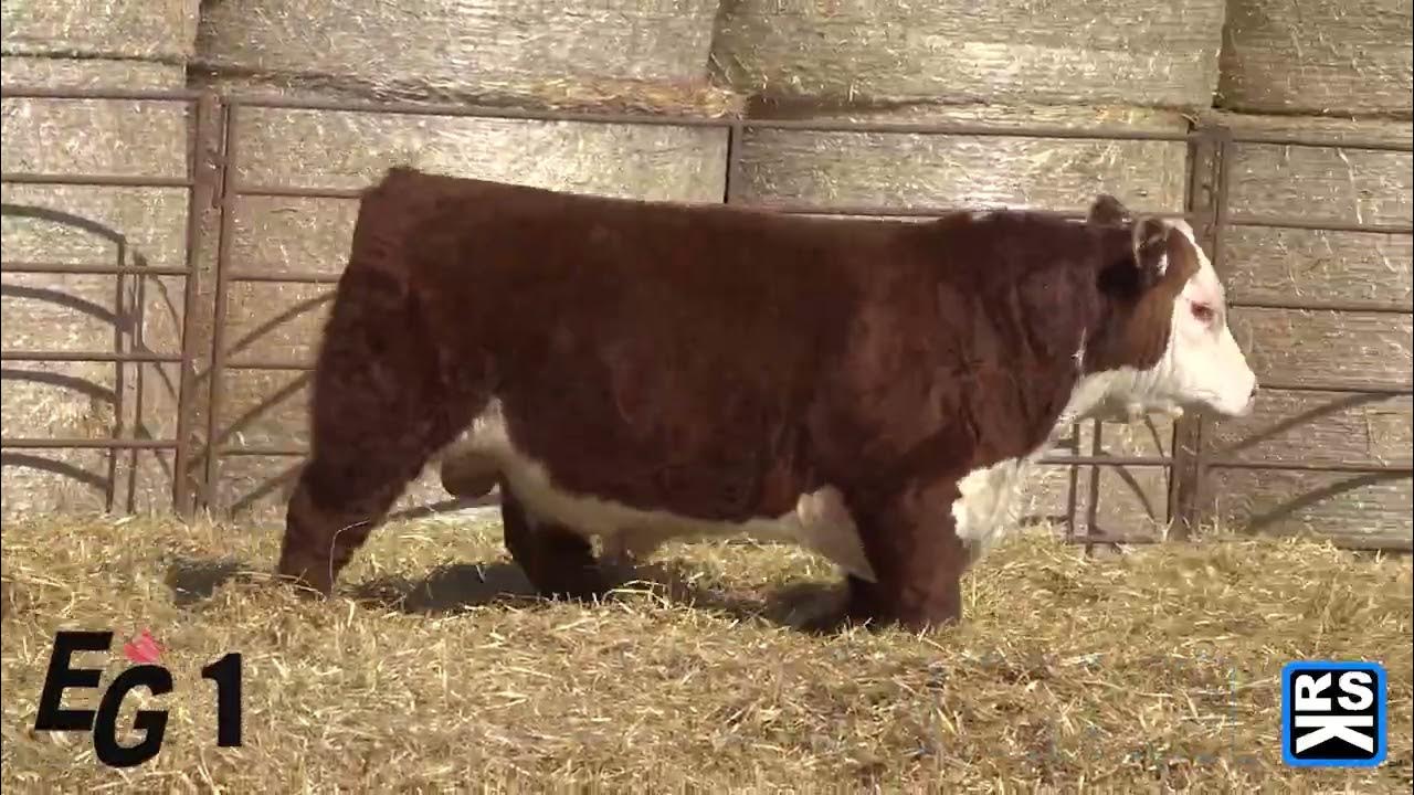 1 rsk 2025 - YouTube