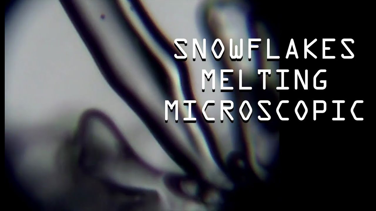 Snowflakes Melting Under Microscope - YouTube