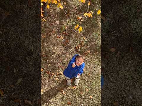 Kış çayından sonra  meyve çekirdeklerini bahçeye ektik 🥰 #kışçayı #wintertea #çekirdek