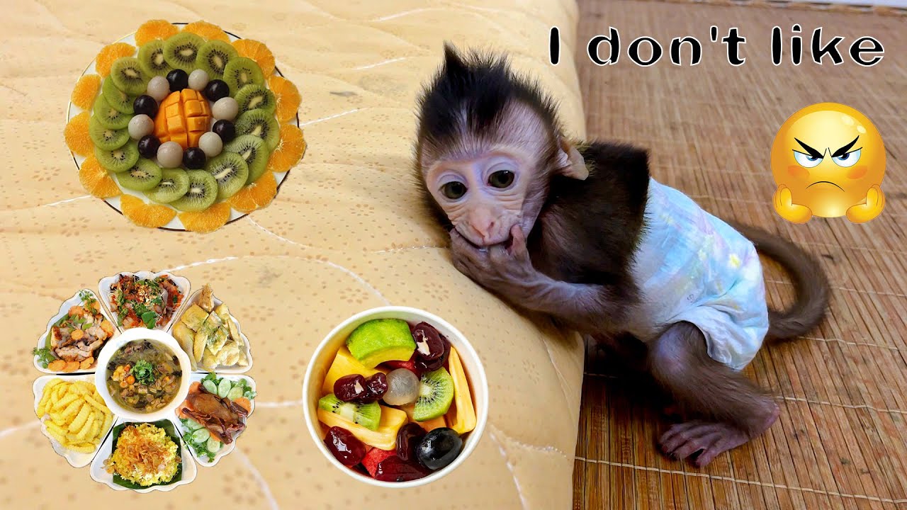 Monkey Su was angry and refused to eat with his family, eventually Hao ...