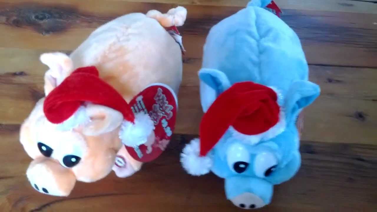 Wiggle pigs press foot and I walk pull my tail - YouTube