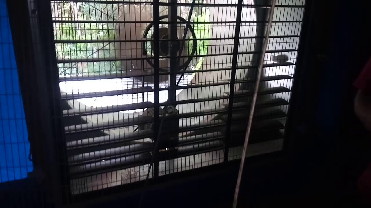 Uji kondisi Exosfan/Blower - YouTube