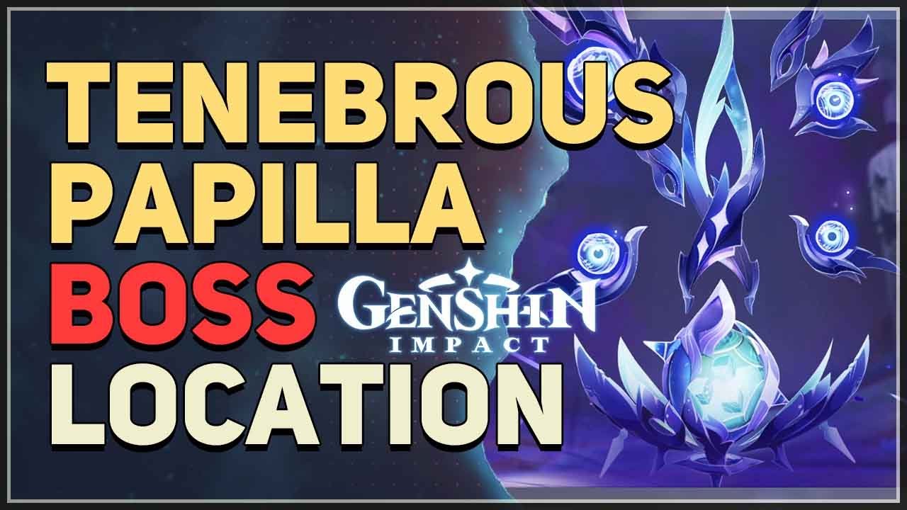 Tenebrous Papilla Location Genshin Impact - YouTube
