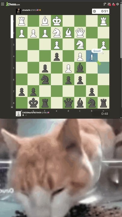 POV: You Play Bullet #chess #catmeme #Bullet #waitaminute #blunder - YouTube