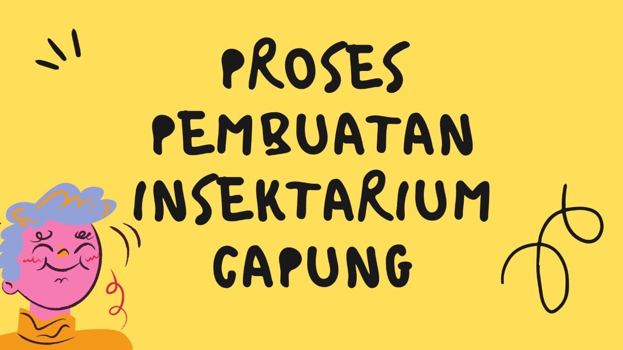 CARA MUDAH MEMBUAT INSEKTARIUM CAPUNG!!!!! - YouTube