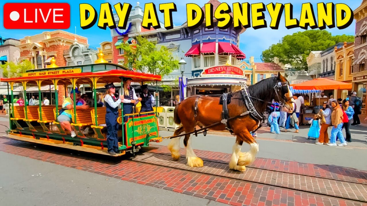 🔴 LIVE: Get Your Disney Fix Here - YouTube