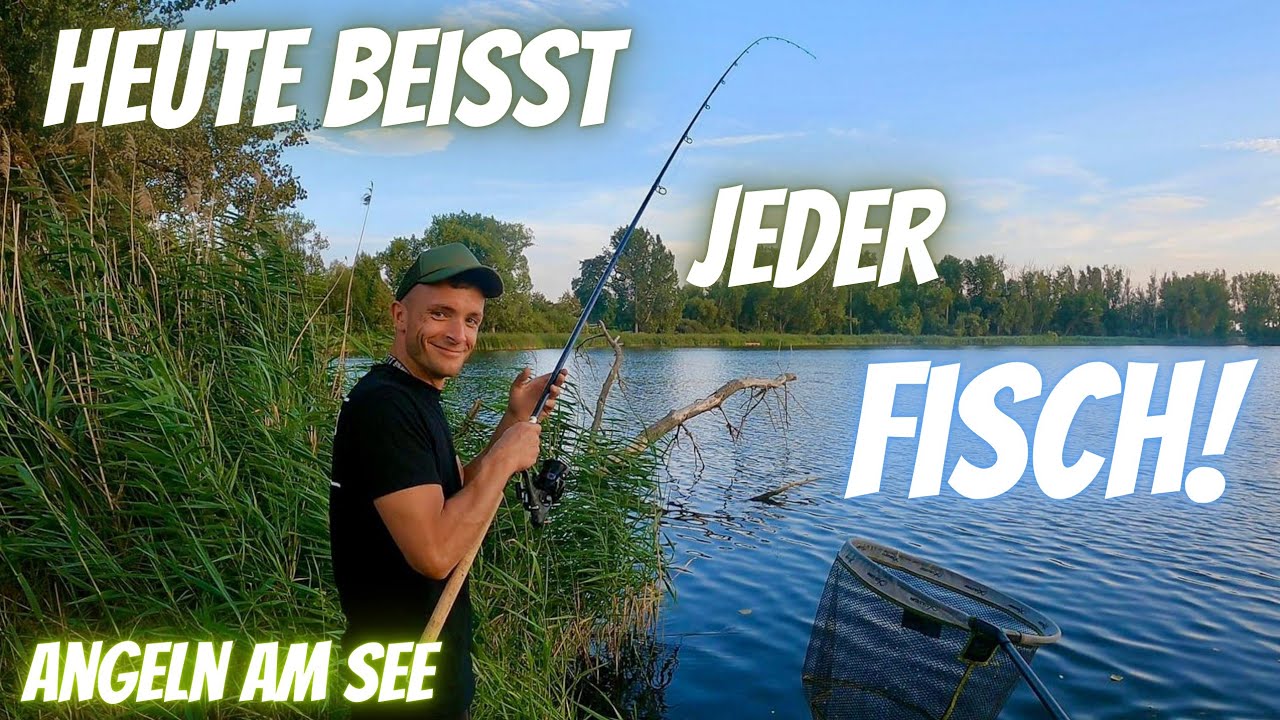 Fische in Fresslaune beim Angeln am See! - YouTube