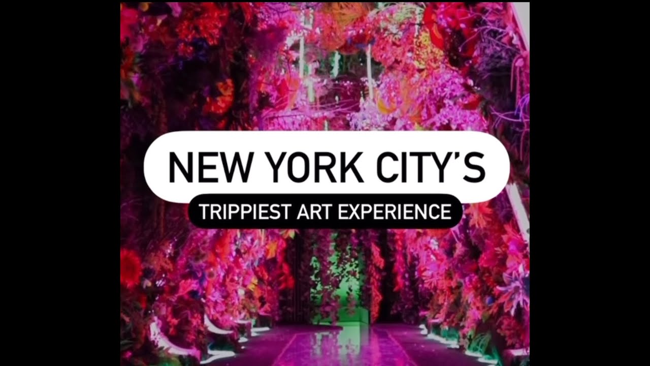 NEW YORK NEWEST LOCATION INTER_ART EXPERIENCE /VLOG /FIND OUT WHAT'S ...